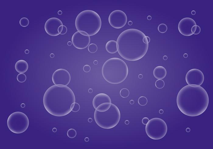 Review Your Bubble | Significant Encounters